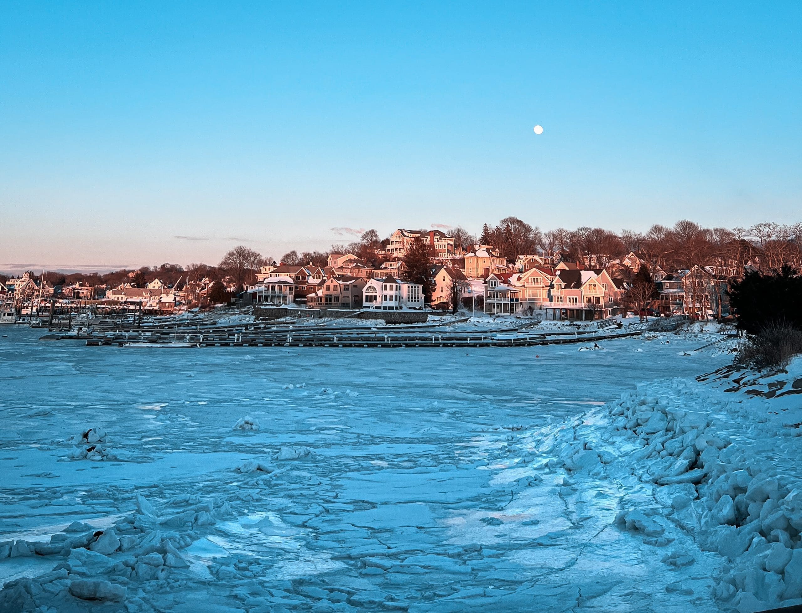 Whale Season is Almost Here: A Look Back at Winter in Gloucester - 7 ...