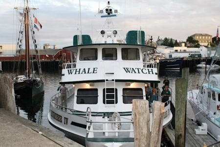 7 Seas Whale Watch: Our Vessel The Privateer IV